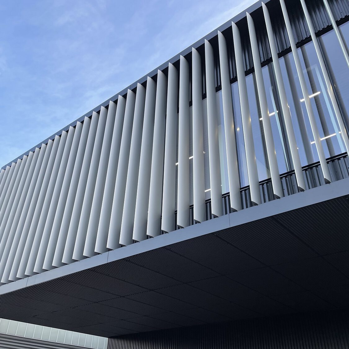 Fins – Building Elegance